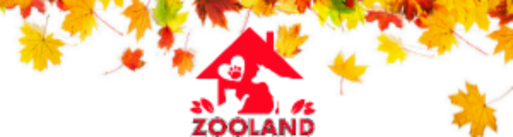 Нашите магазини | Zooland-varna.com